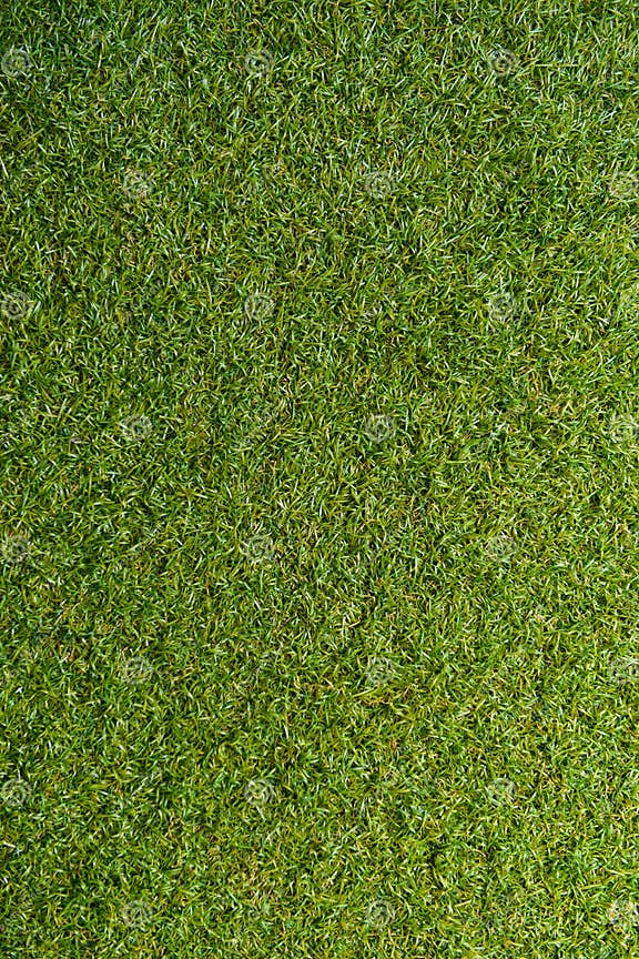 Green Grass with Empty Area for Text Background. Nature Background ...