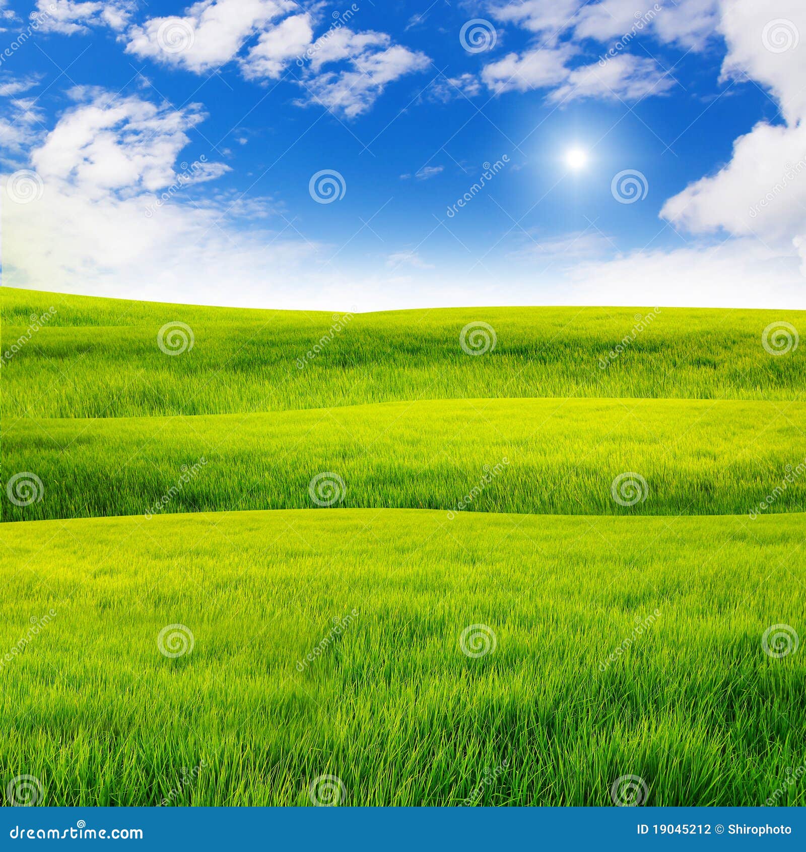 Green grass field stock photo. Image of environment, countryside - 19045212