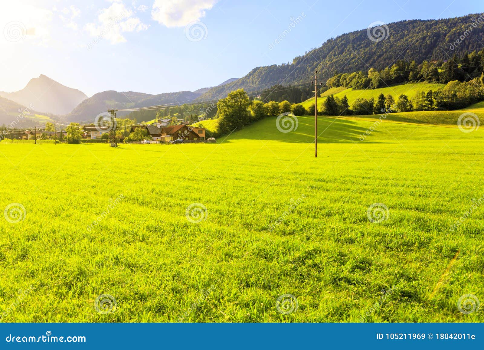 Green Grass Field in Austrian Alps Stock Image - Image of green ...
