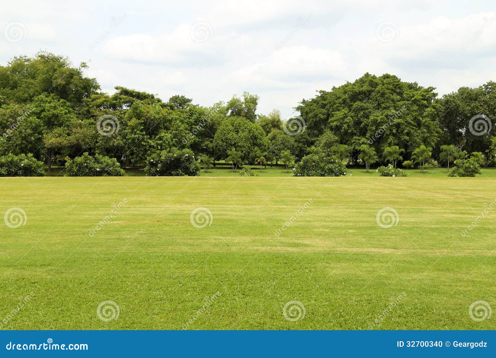 Green grass field stock photo. Image of park, outdoor - 32700340
