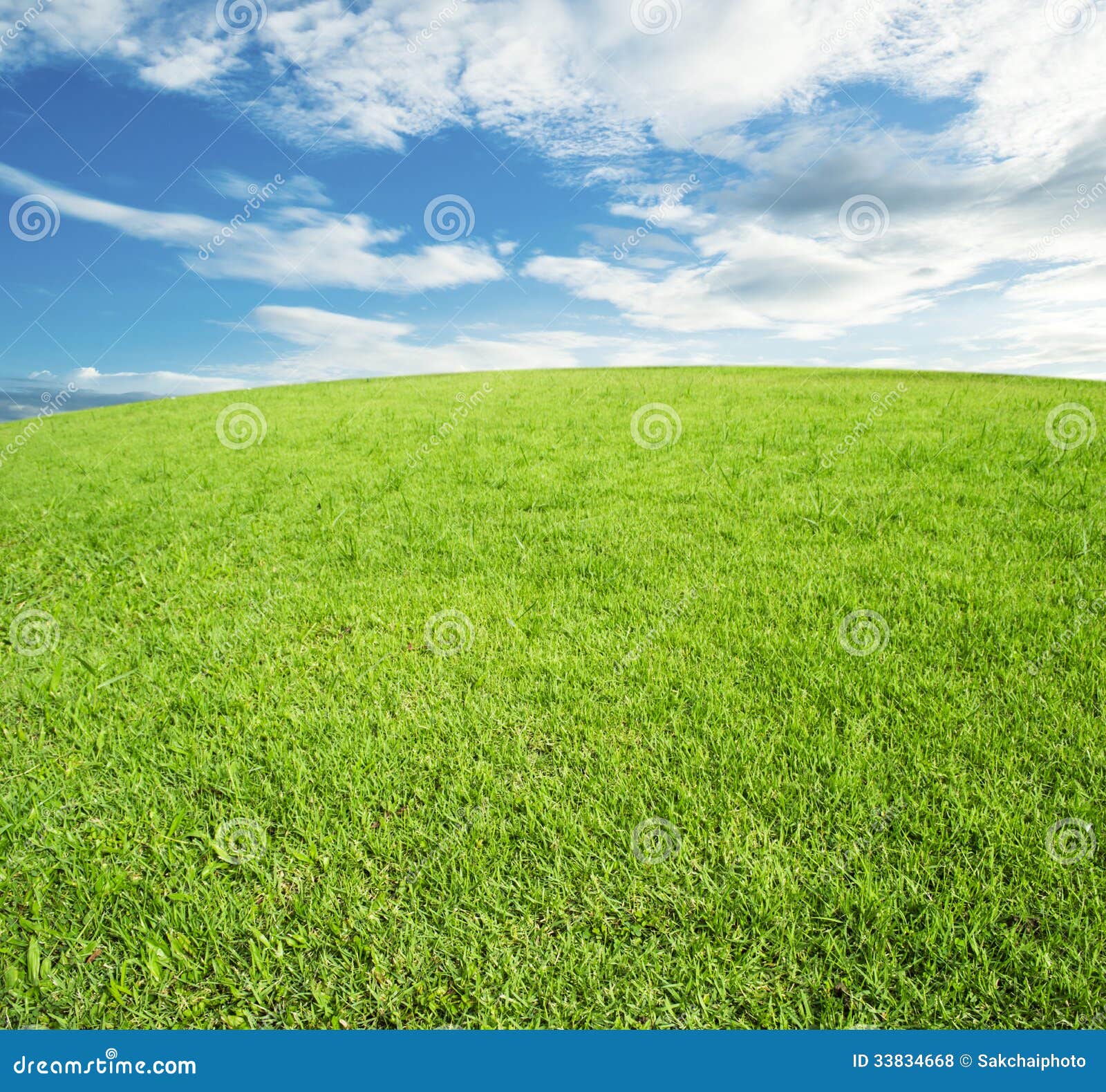Green Grass Field and Bright Blue Sky Stock Photo - Image of beautiful ...