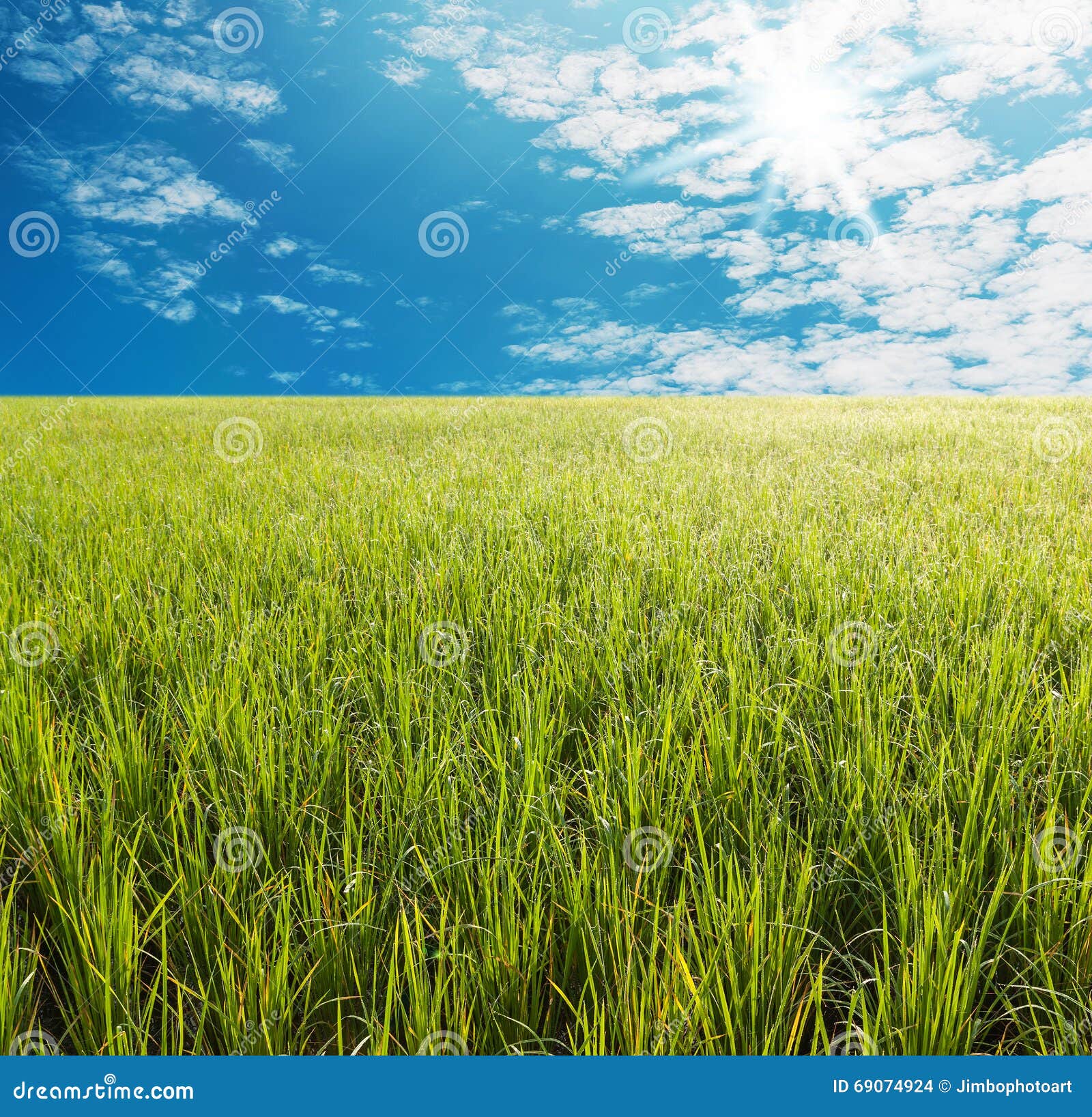 Green Grass Field with Bright Blue Sky Stock Photo - Image of panoramic ...
