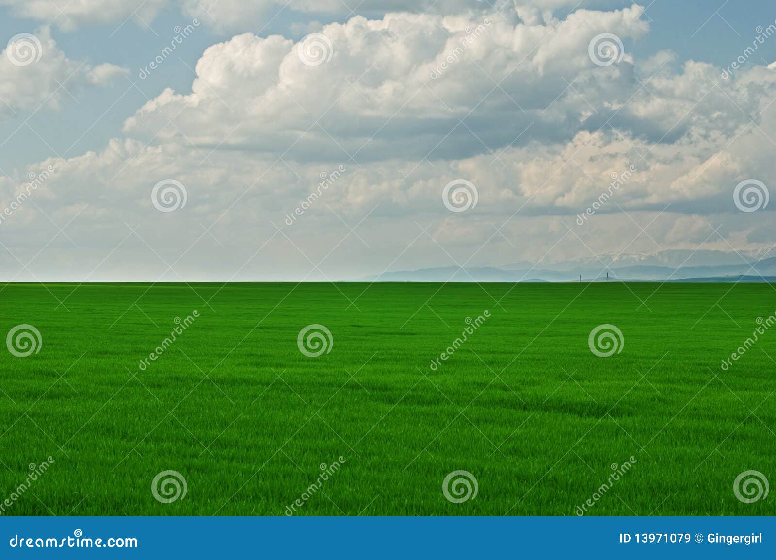 Green Grass Field with Cloudy Blue Sky Stock Image - Image of grass ...