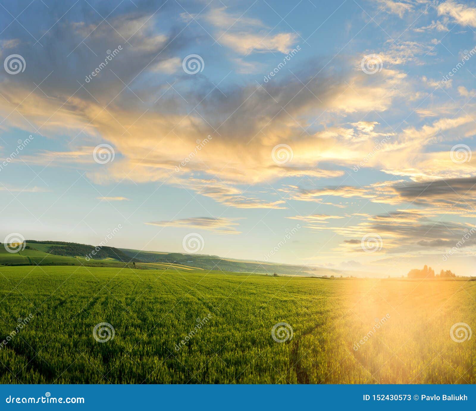 Green Grass Field at Evening Cloudy Sky with Space Stock Image - Image ...