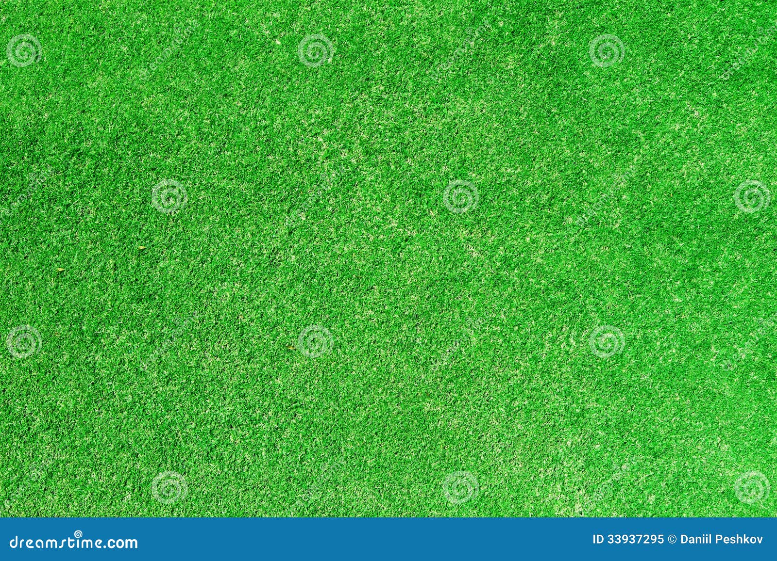 Green grass stock image. Image of meadow, view, foliage - 33937295