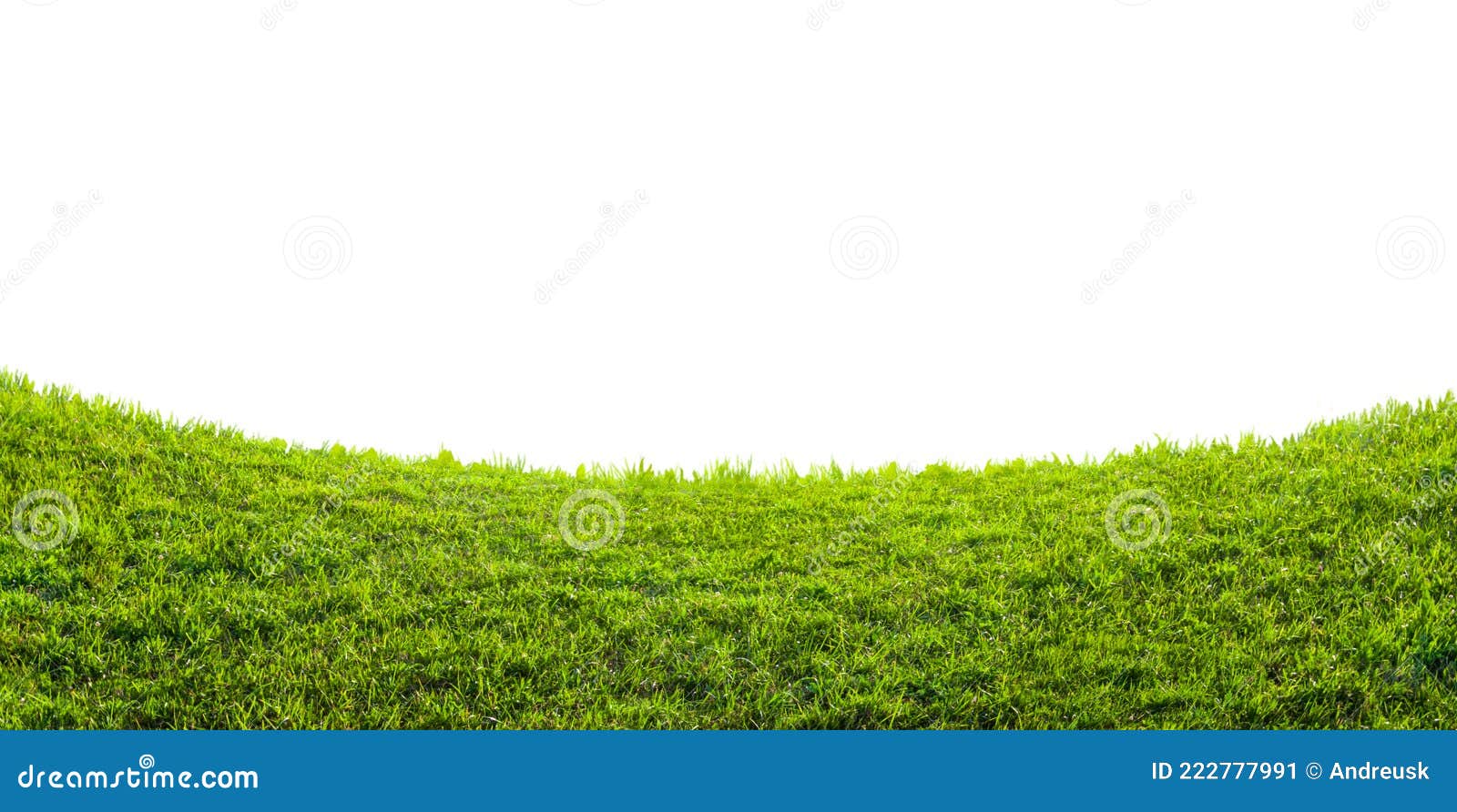 Green Grass Field Isolated on White Background Stock Image - Image of ...