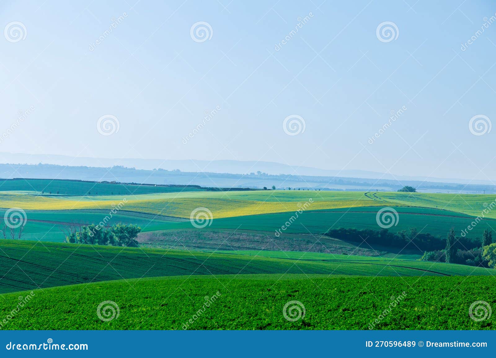 Green Grass Field Landscape. Perfect Natural Landscape Stock Image ...