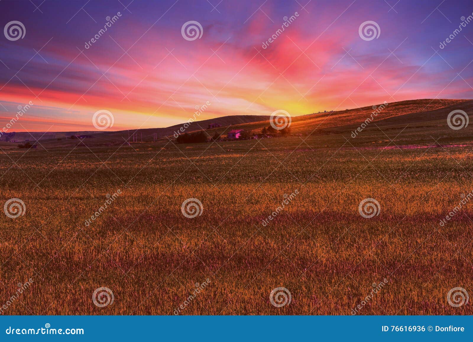 Green Grass Field Landscape Under Sun Fall Sunset Sky with Soft Clouds ...