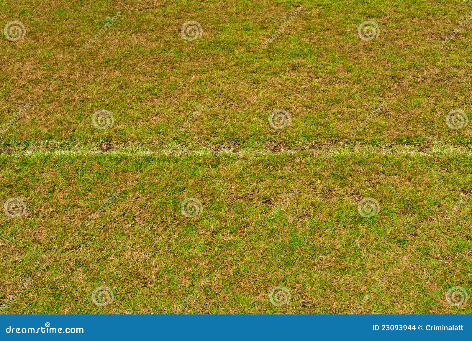 Green Grass Field with Line Stock Photo - Image of backdrop, flora ...