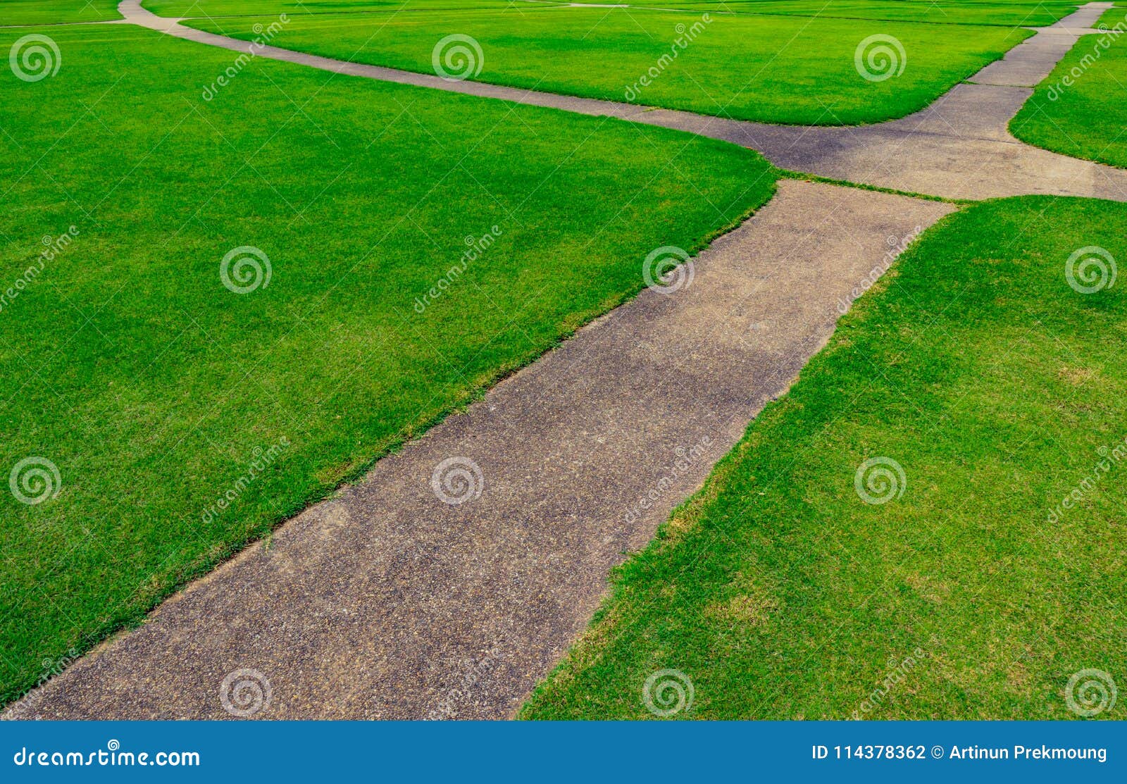 Green Grass Field with Line Pattern Texture Background Stock Photo ...