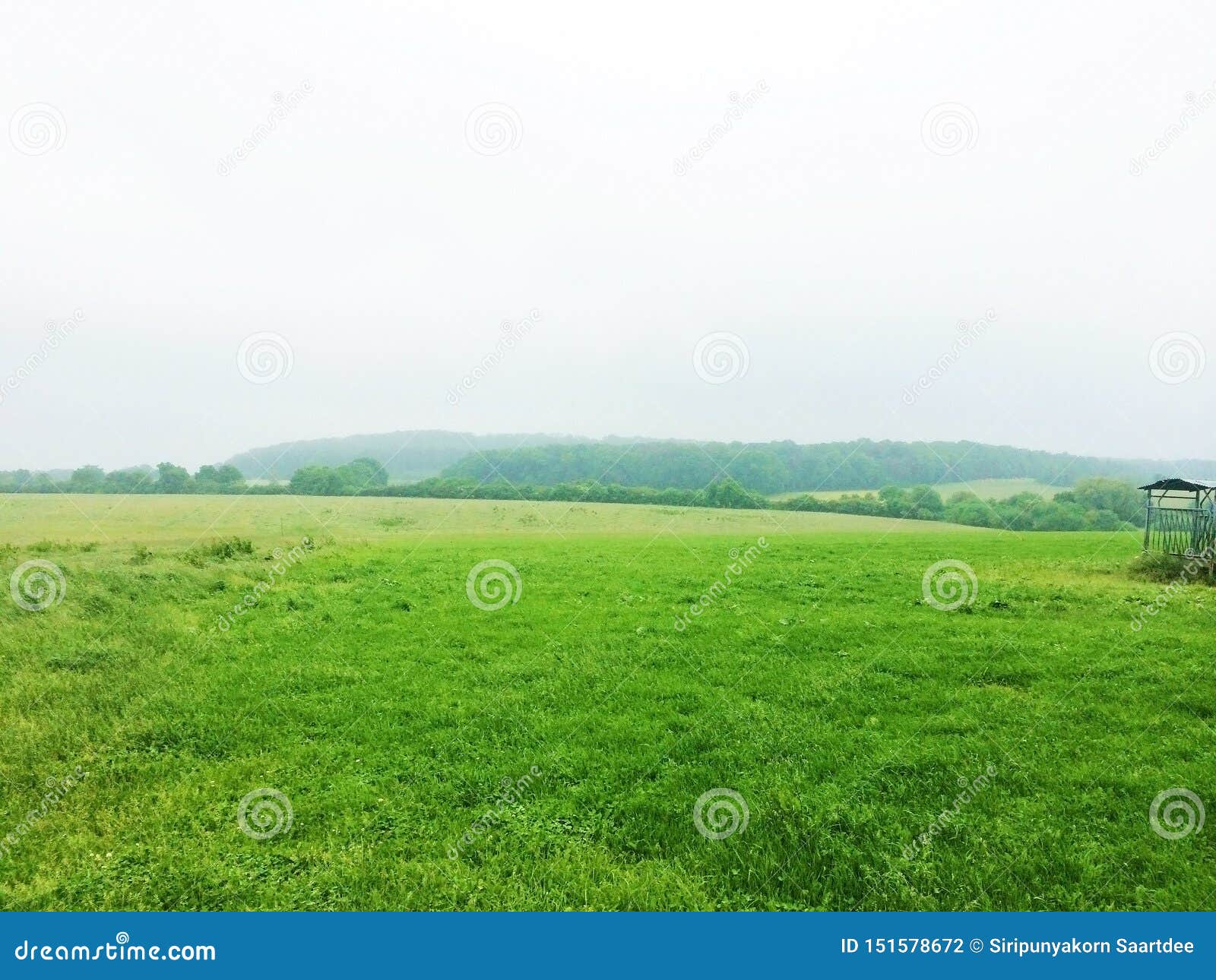 Green Grass Field in Luxembourg, Europe Stock Photo - Image of season ...