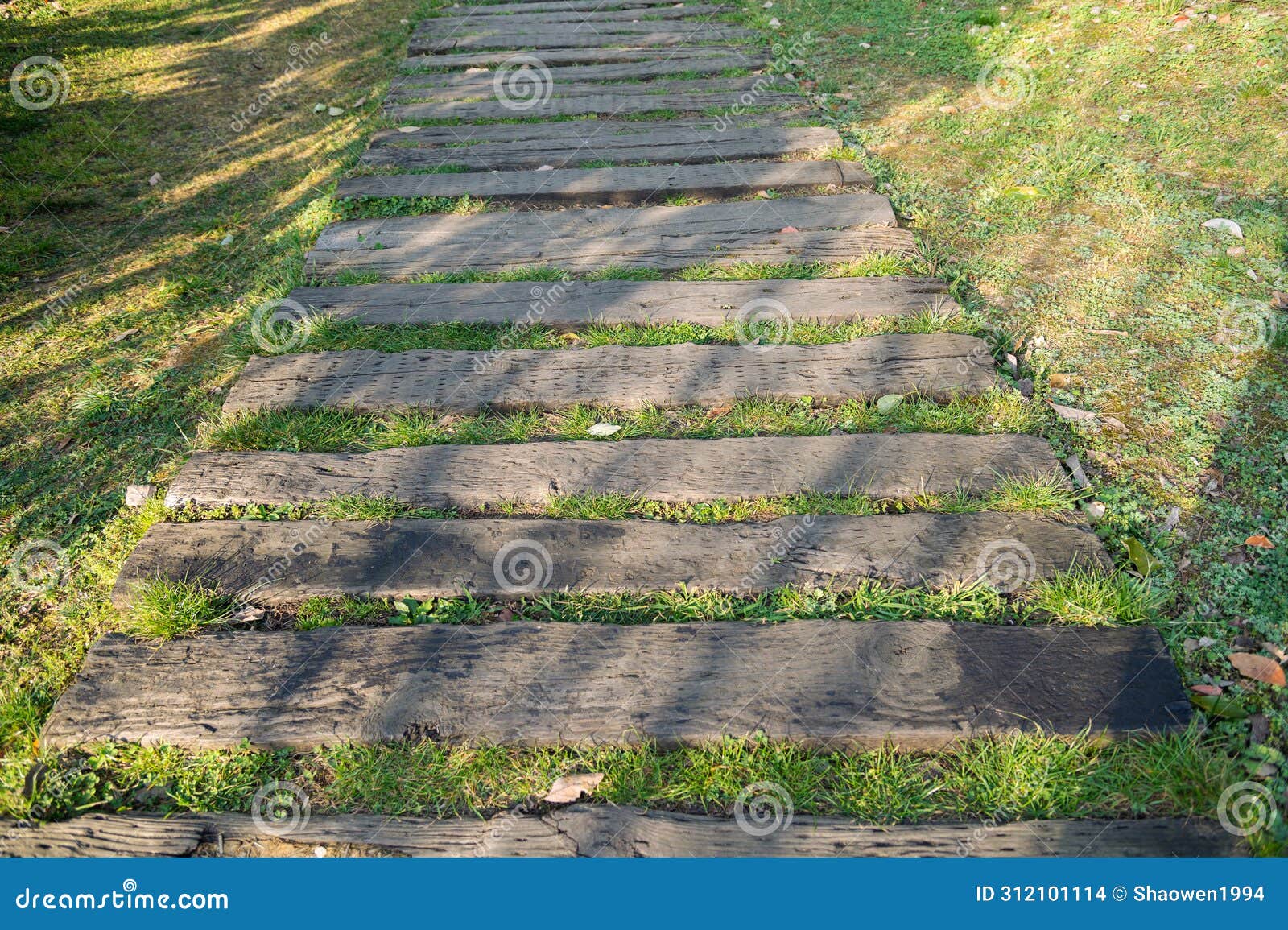 Path in the garden stock photo. Image of farmland, fresh - 312101114