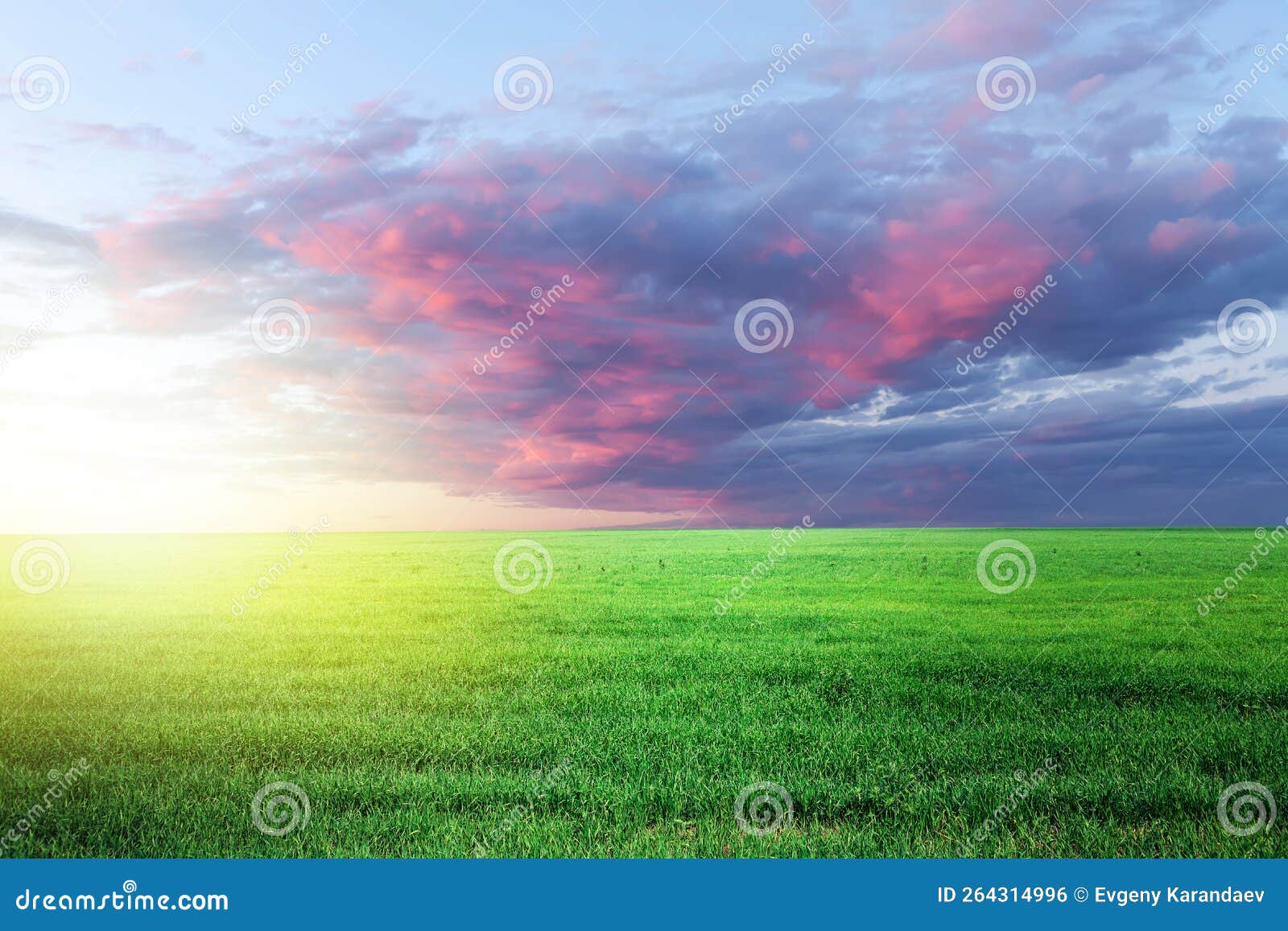 Green Grass Field and Sunset Sky Stock Photo - Image of outdoor, nature ...