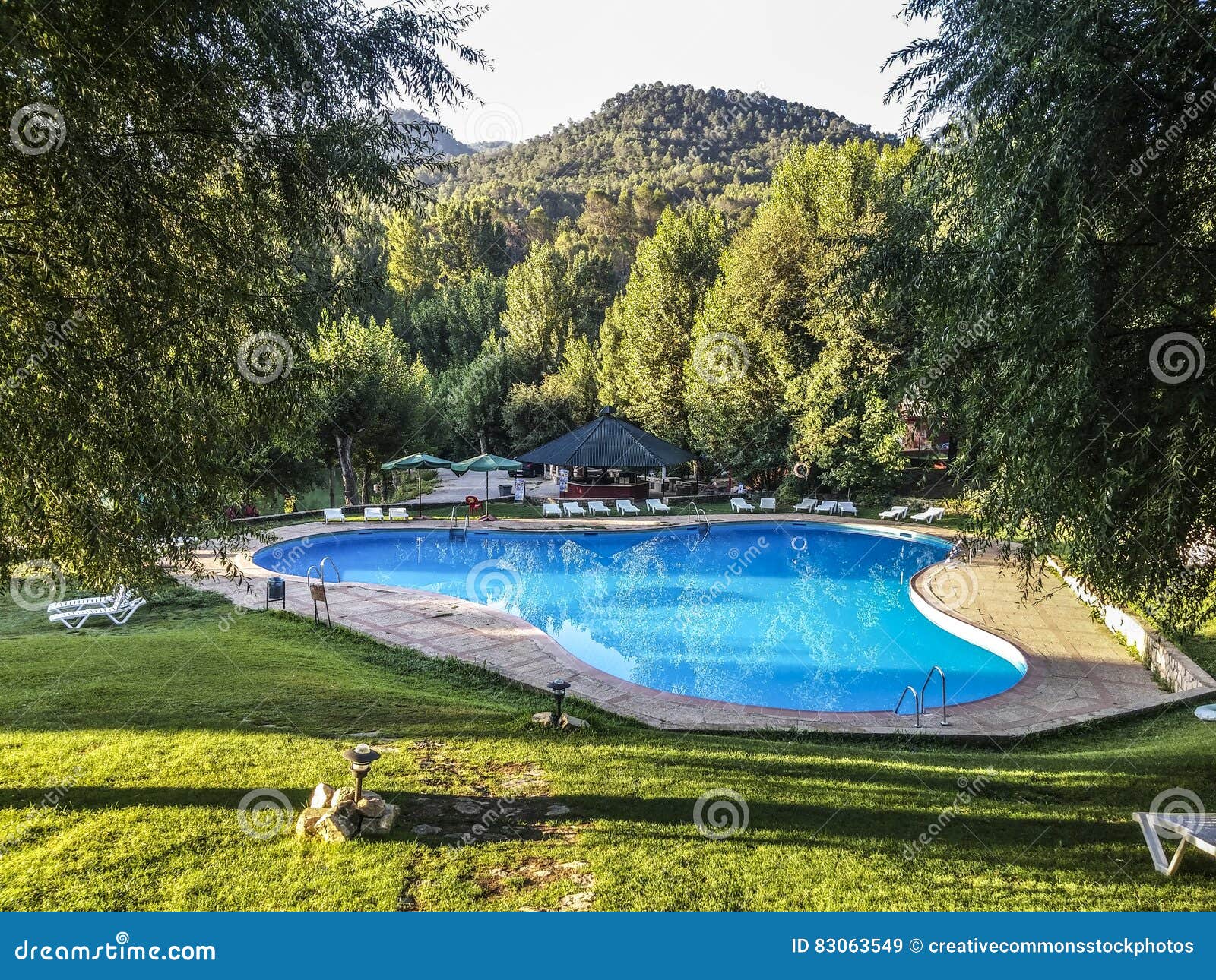 Green Grass Field Beside Swimming Pool During Daytime Picture. Image ...