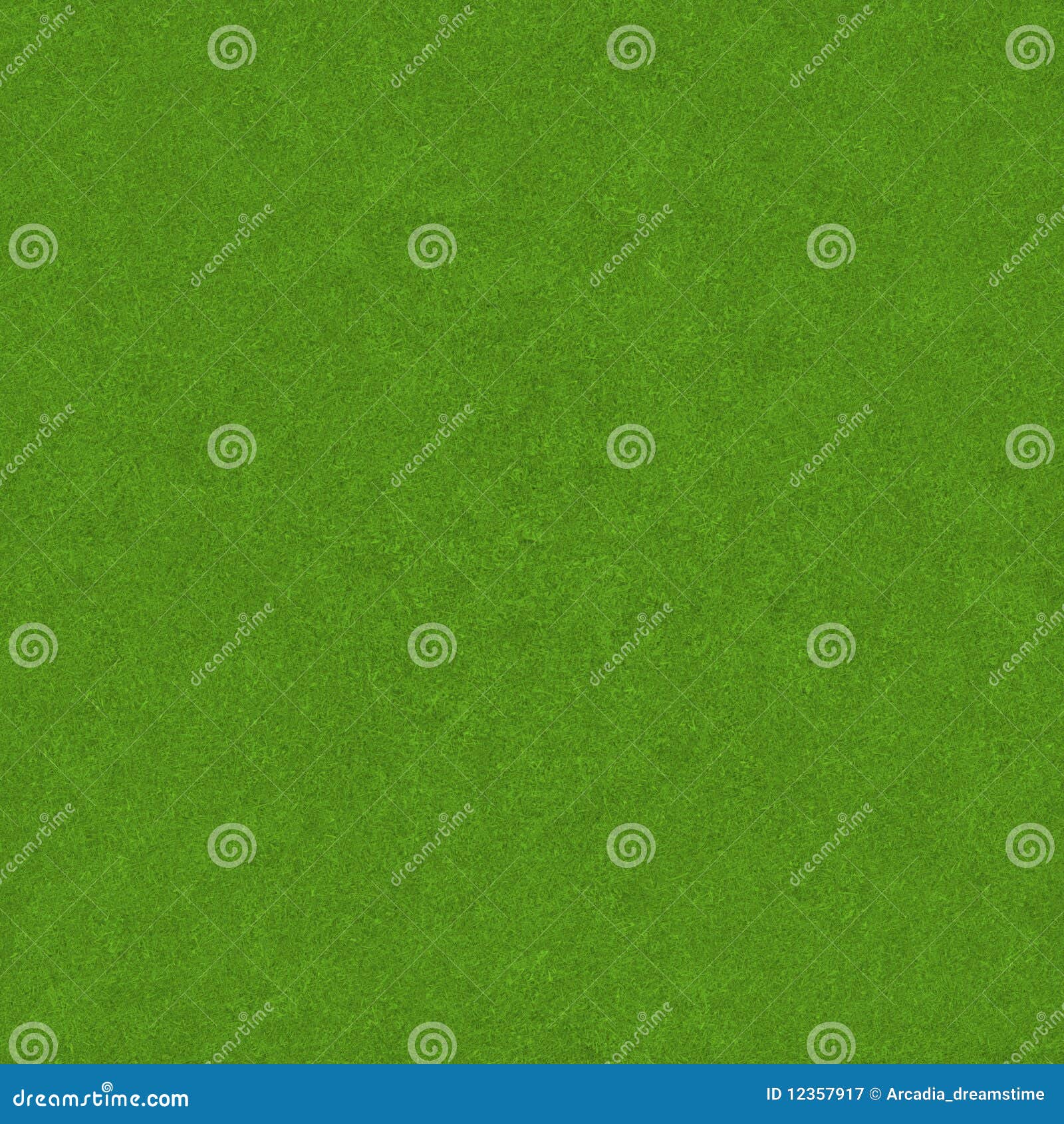 Green Grass Field Texture stock image. Image of spring - 12357917