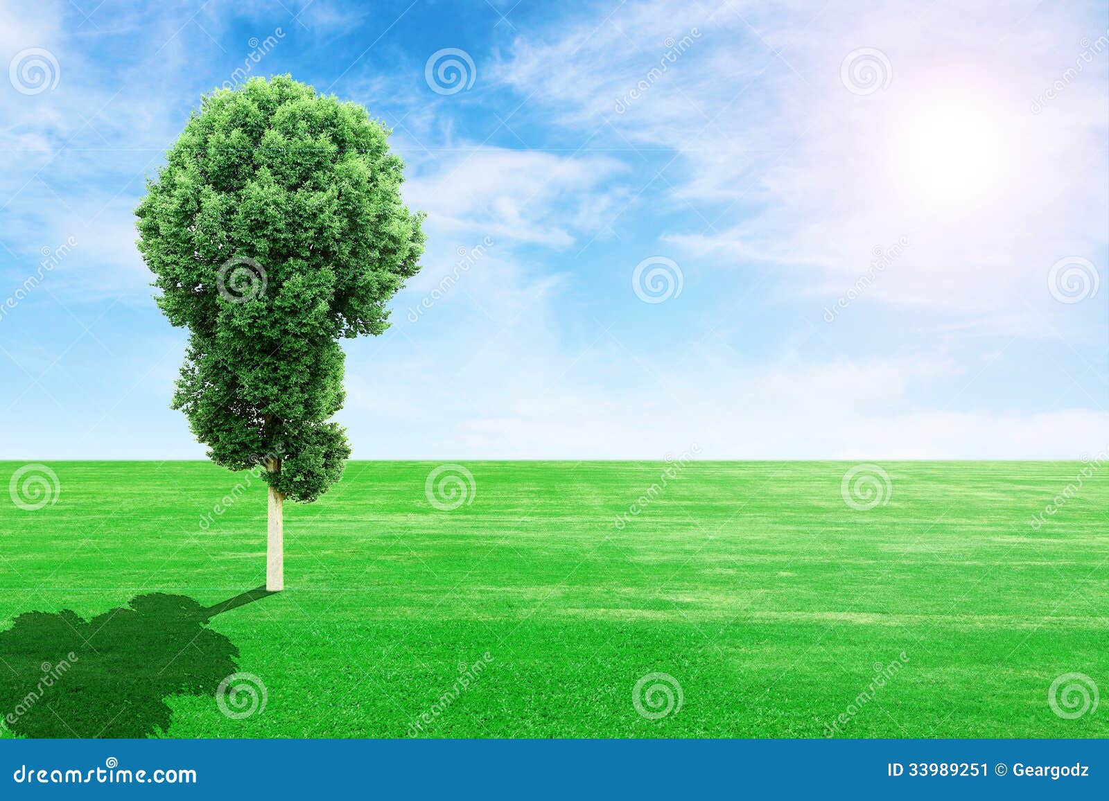 Green Grass Field and Tree with Sun and Sky Stock Image - Image of ...