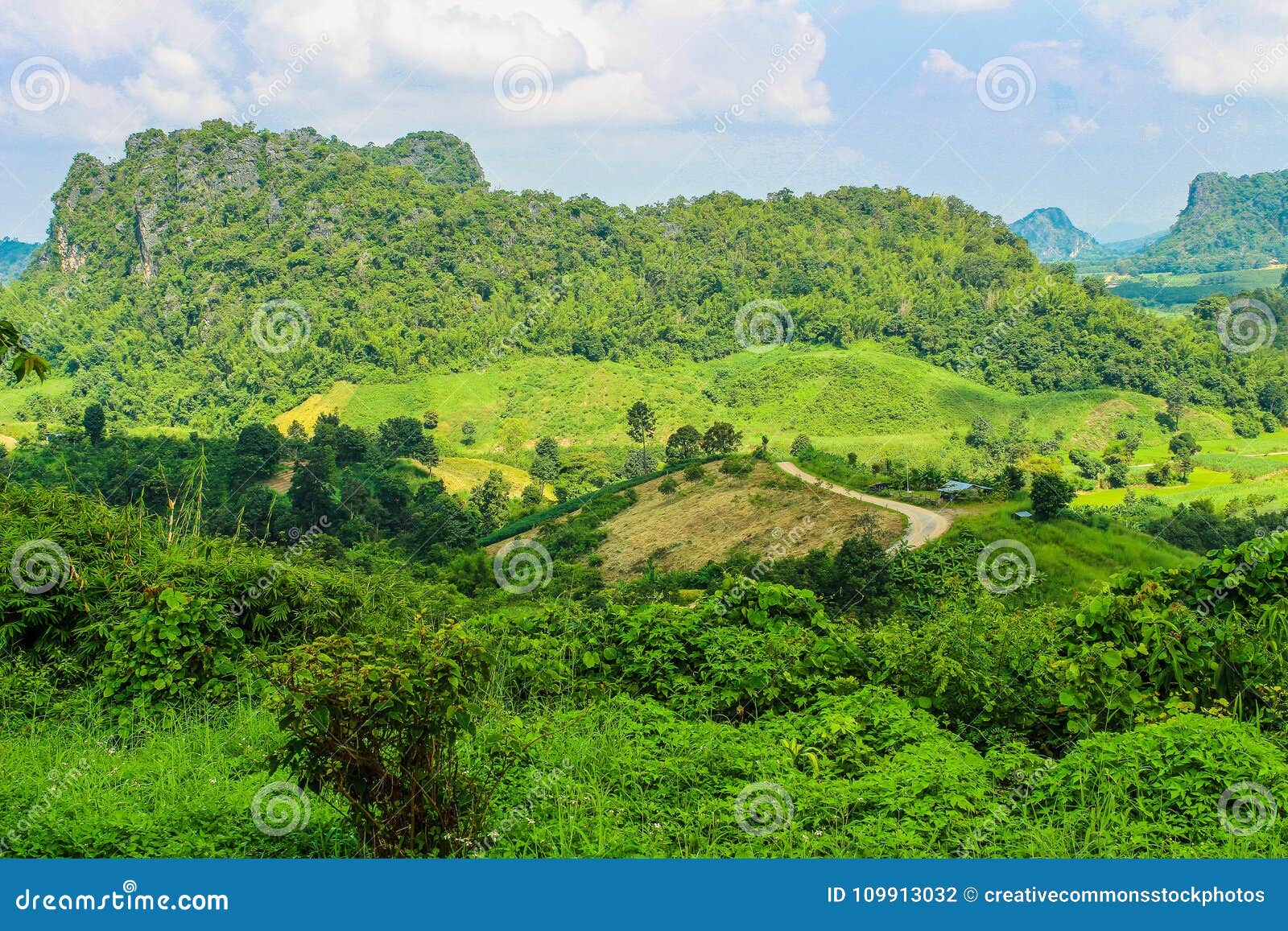 Free Public Domain CC0 Image: Green Grass Field And Trees High ...