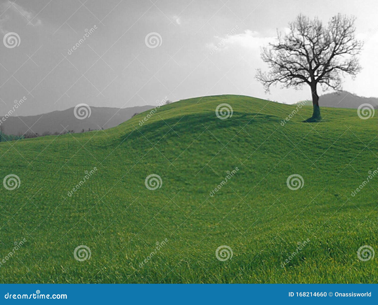 Green Grass Field and a Winter Dry Tree Abstract Stock Photo - Image of ...