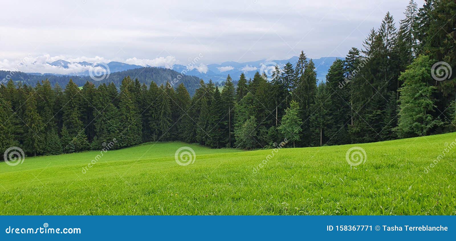 Green Grass Field and Woods with Overcast Low Hanging Clouds with Hills ...