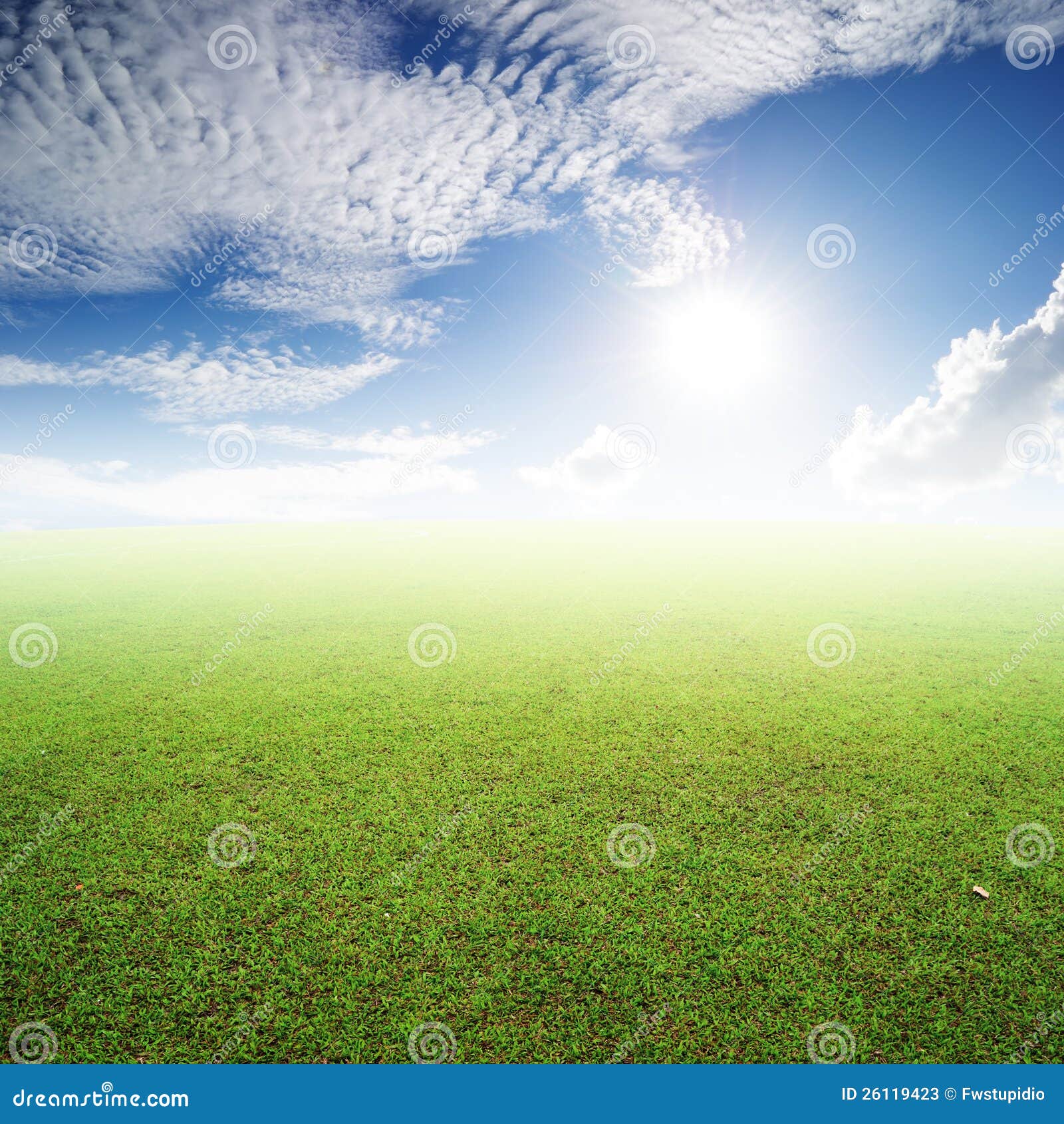 Green Grass Fields and Beautiful Sun Sky Stock Image - Image of farming ...