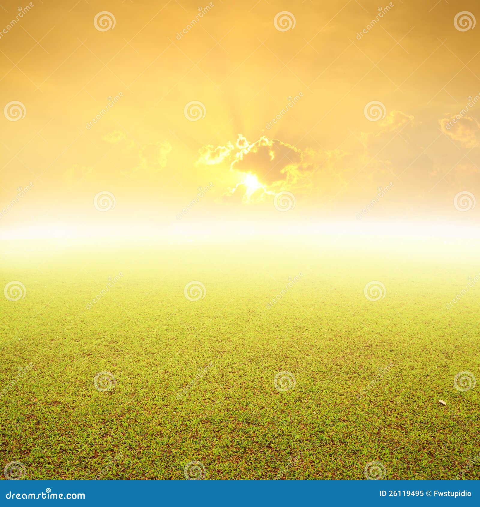 Green Grass Fields and Beautiful Sunset Stock Image - Image of country ...