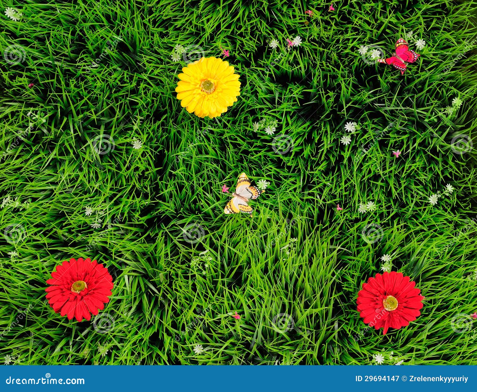Green grass with flowers stock image. Image of clean - 29694147