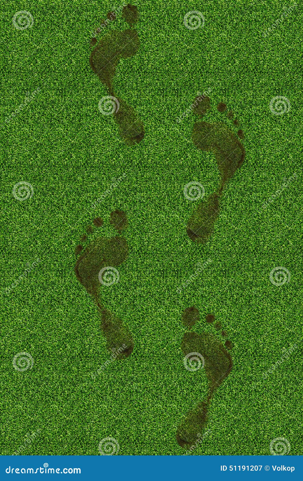 Green Grass With Footprints Background Texture Royalty-Free Stock ...