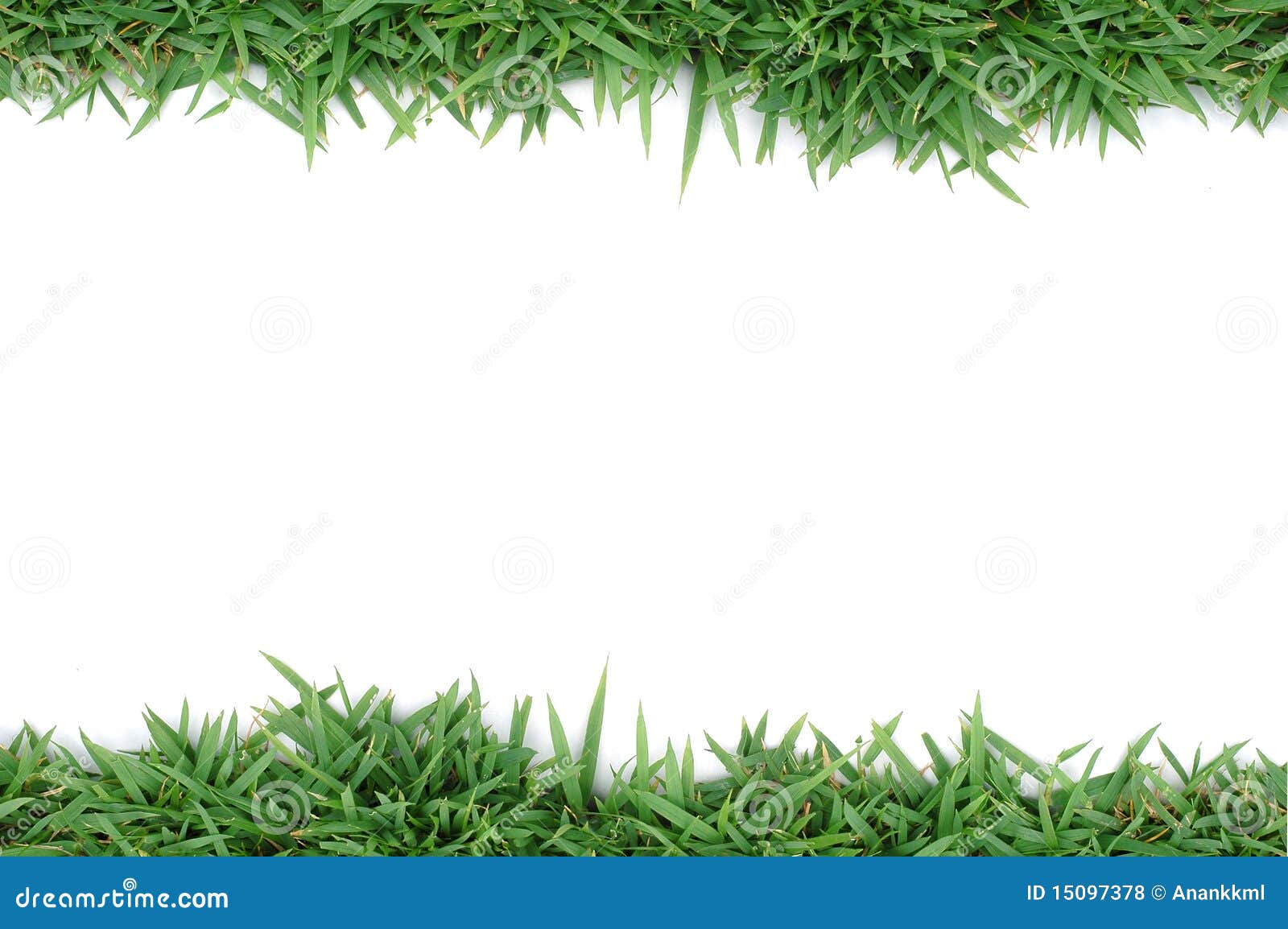 Green grass frame stock photo. Image of outdoors, frame - 15097378