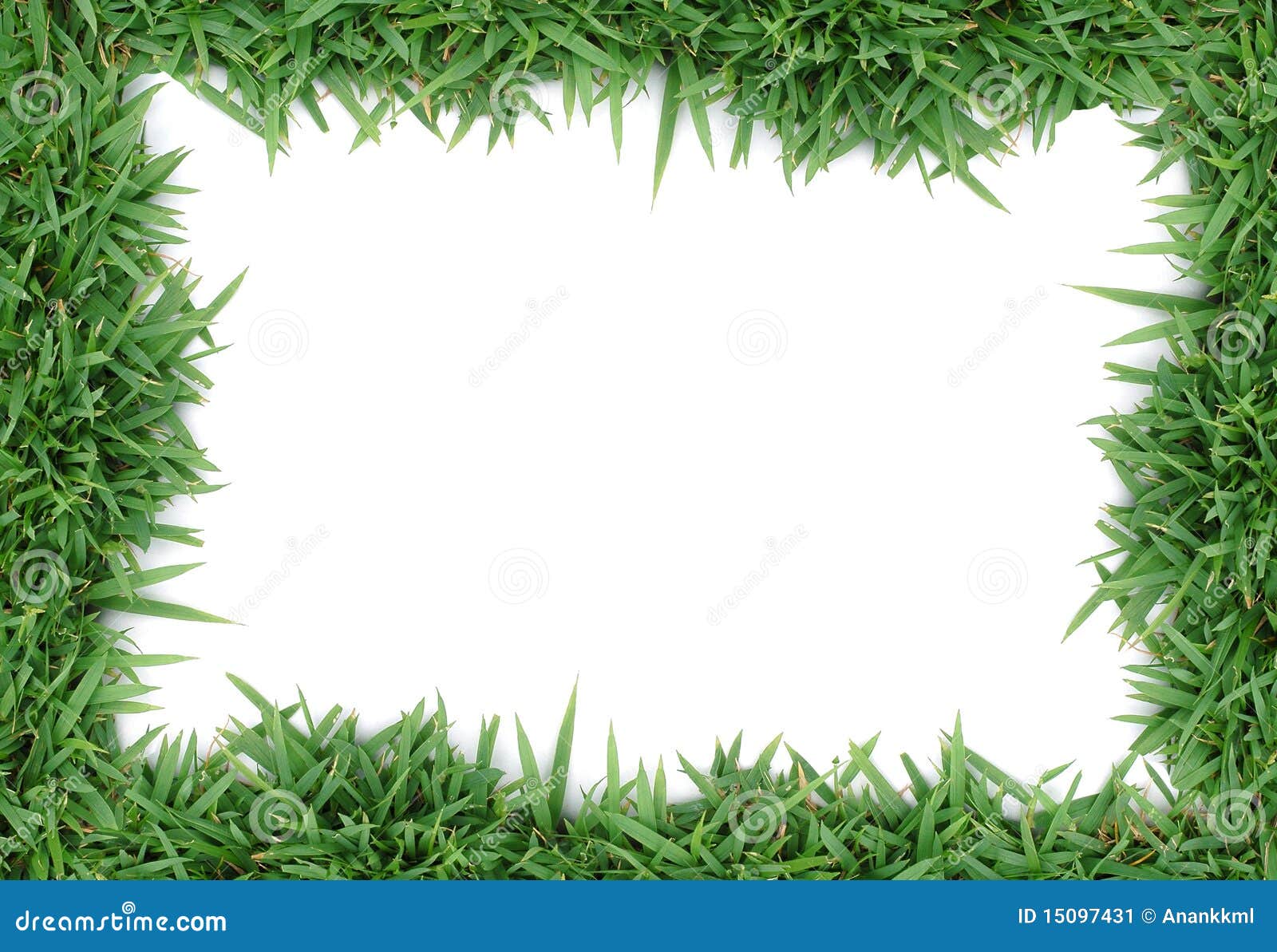 Green grass frame stock image. Image of white, natural - 15097431