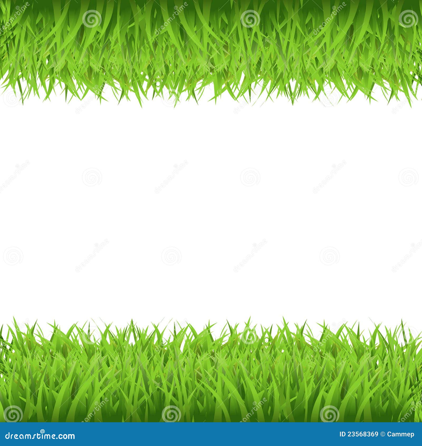 Green Grass Frame stock vector. Illustration of detail - 23568369