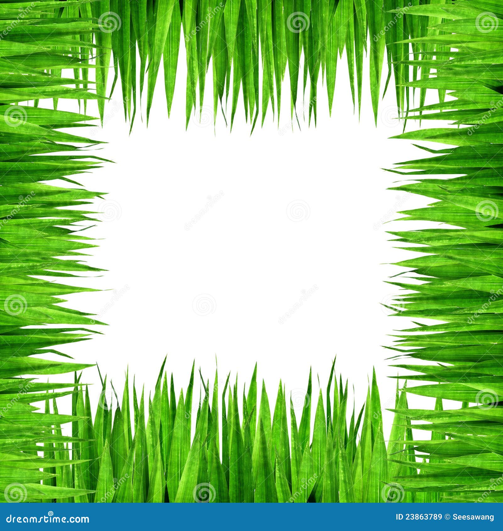 Green grass frame stock image. Image of color, background - 23863789
