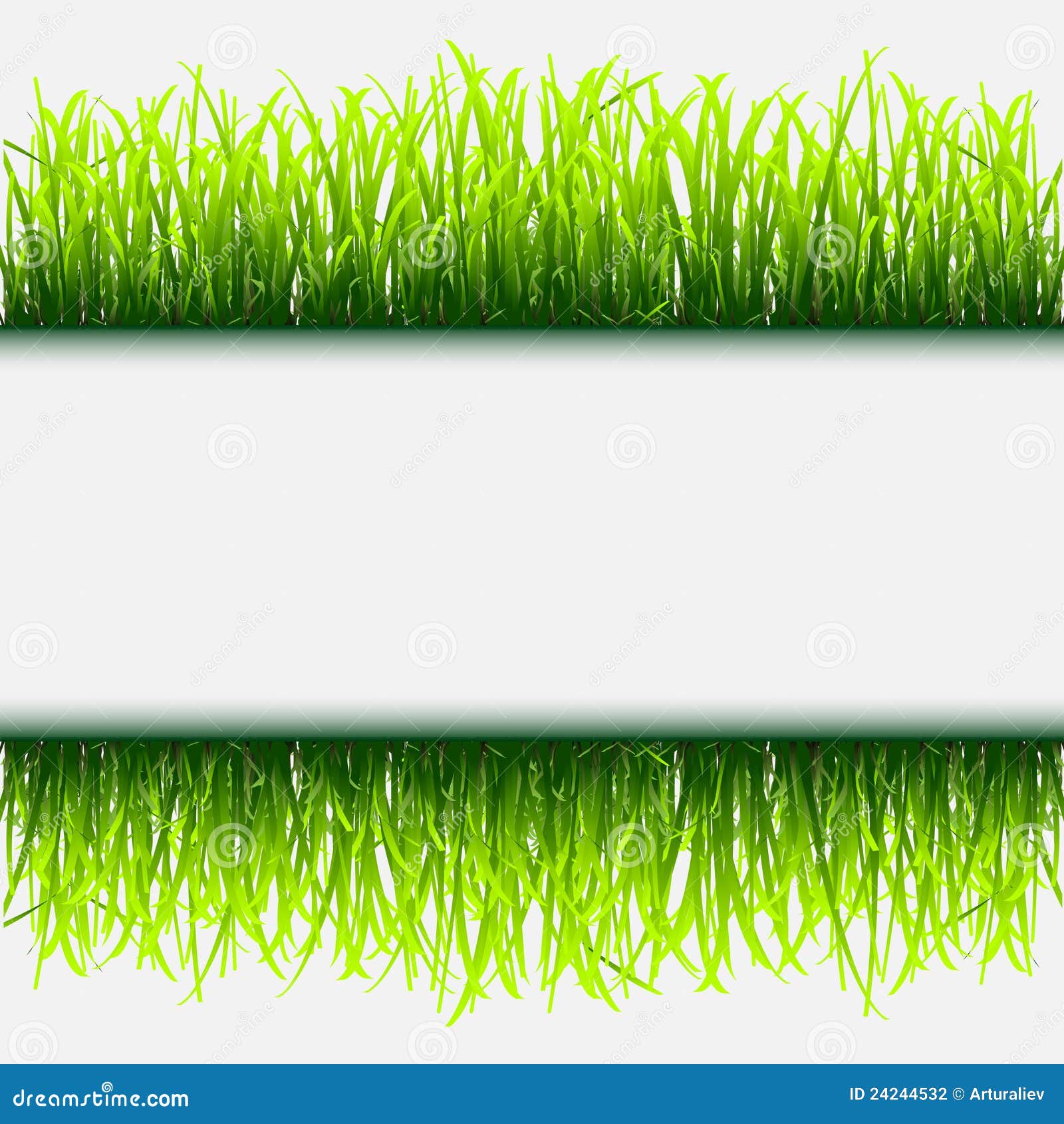 Green grass frame stock vector. Illustration of layout - 24244532