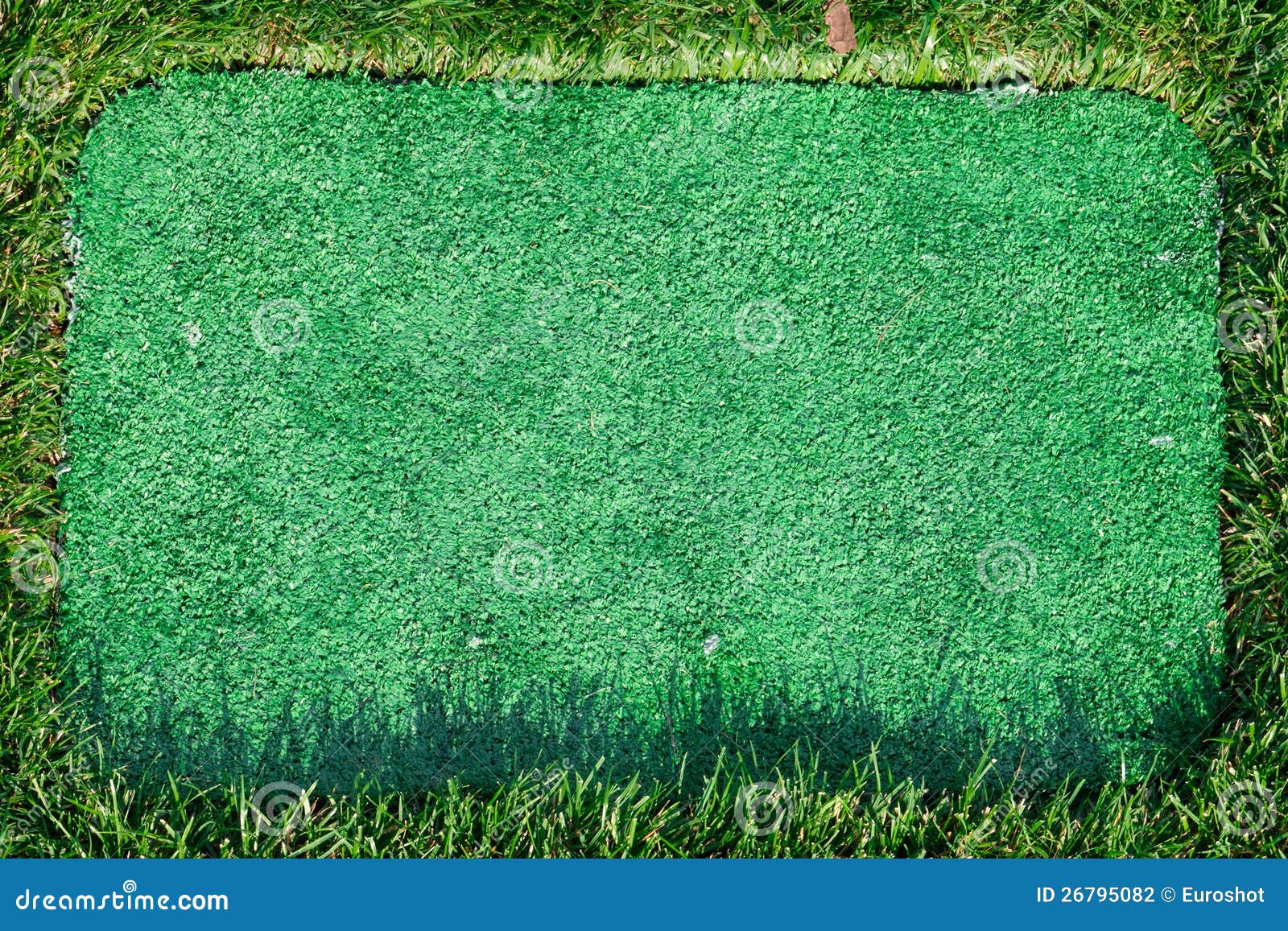 Green grass frame stock photo. Image of closeup, green - 26795082