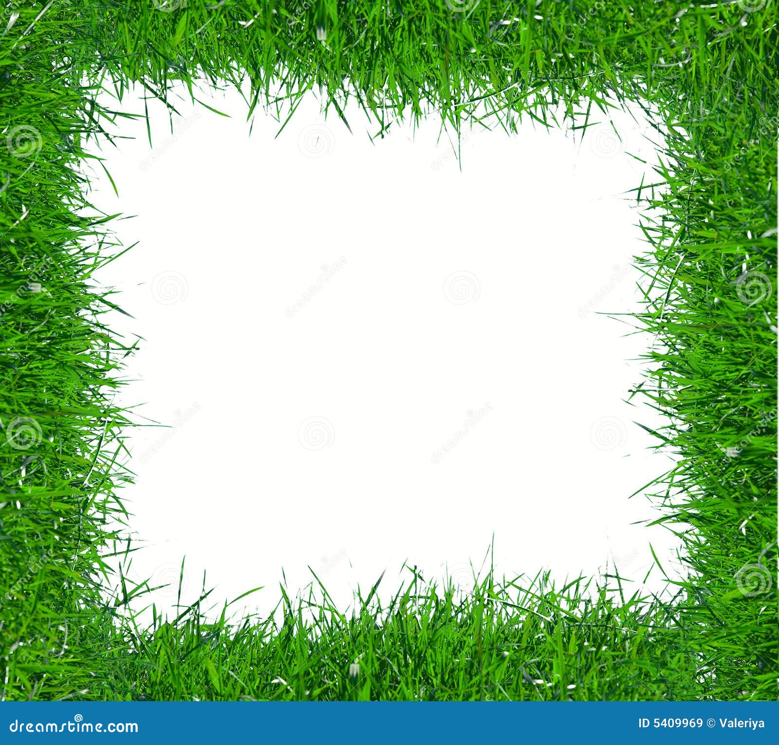 Green grass frame stock image. Image of green, field, wallpaper - 5409969