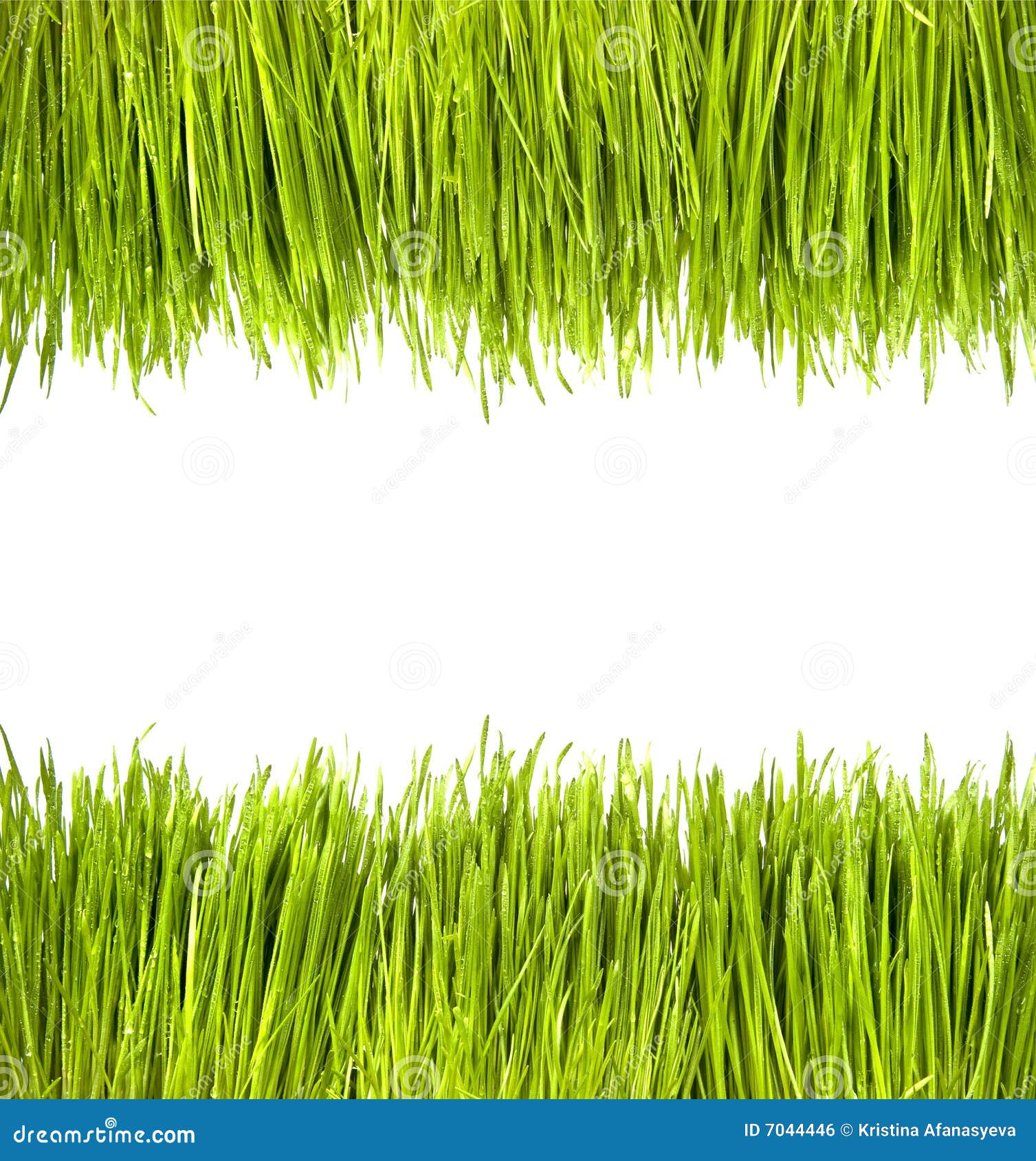 Green Grass Frame stock photo. Image of wheat, freshness - 7044446