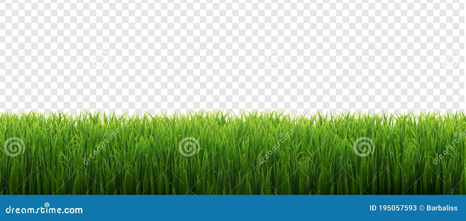 Green Grass Frame Isolated with Transparent Background Stock Vector ...