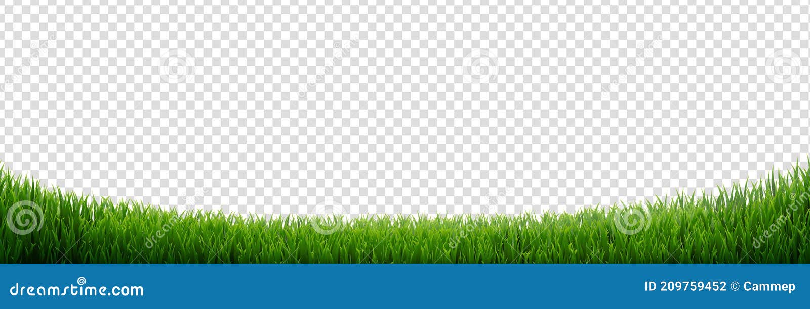 Green Grass Frame Isolated stock vector. Illustration of plant - 209759452