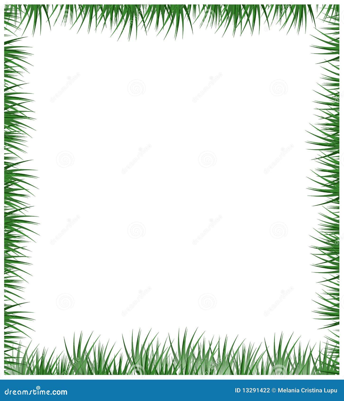Green Grass Frame Isolated on a White Background Stock Vector ...