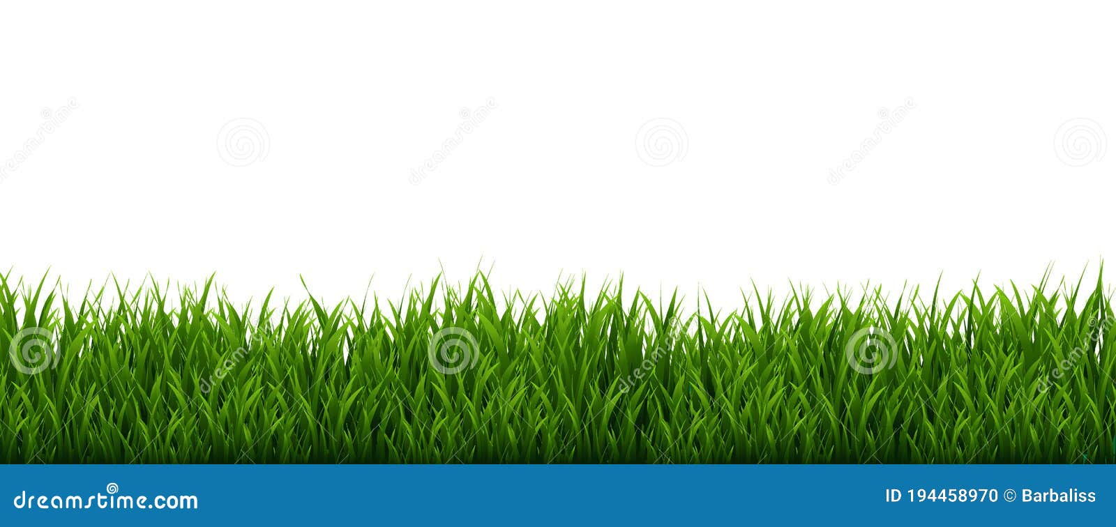 Green Grass Frame and Isolated White Background Stock Vector ...