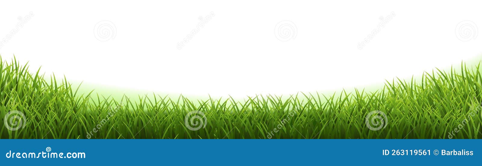 Green Grass Frame Isolated White Background Editorial Photo - Image of ...