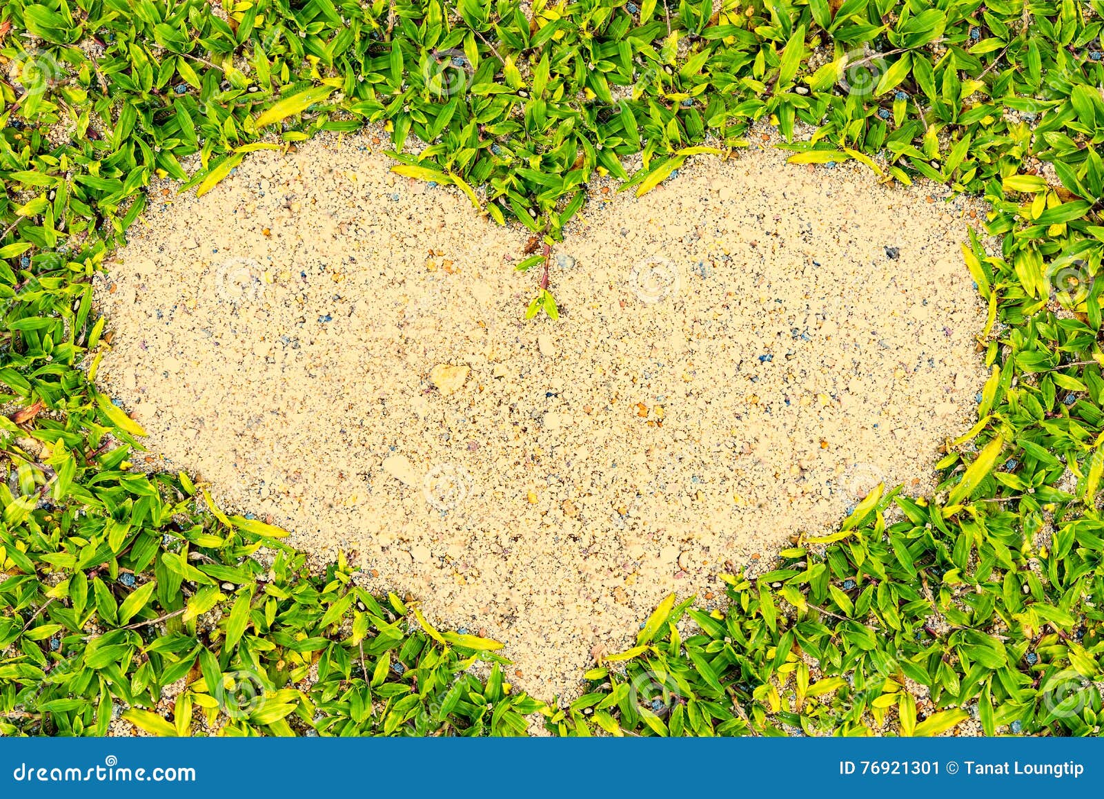 Green Grass Frame Sand in Heart Shape Stock Image - Image of macro ...