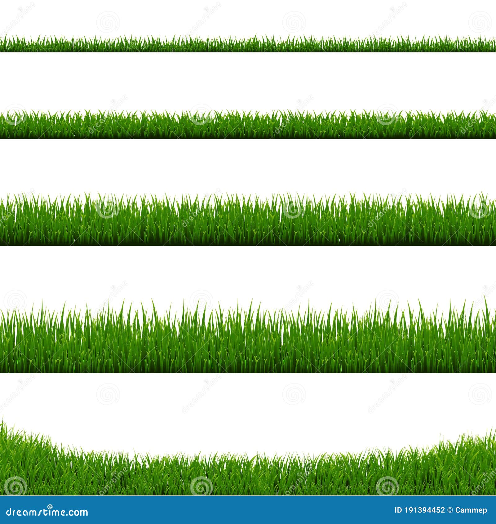 Green Grass Frame Set and Isolated White Background Stock Photo - Image ...