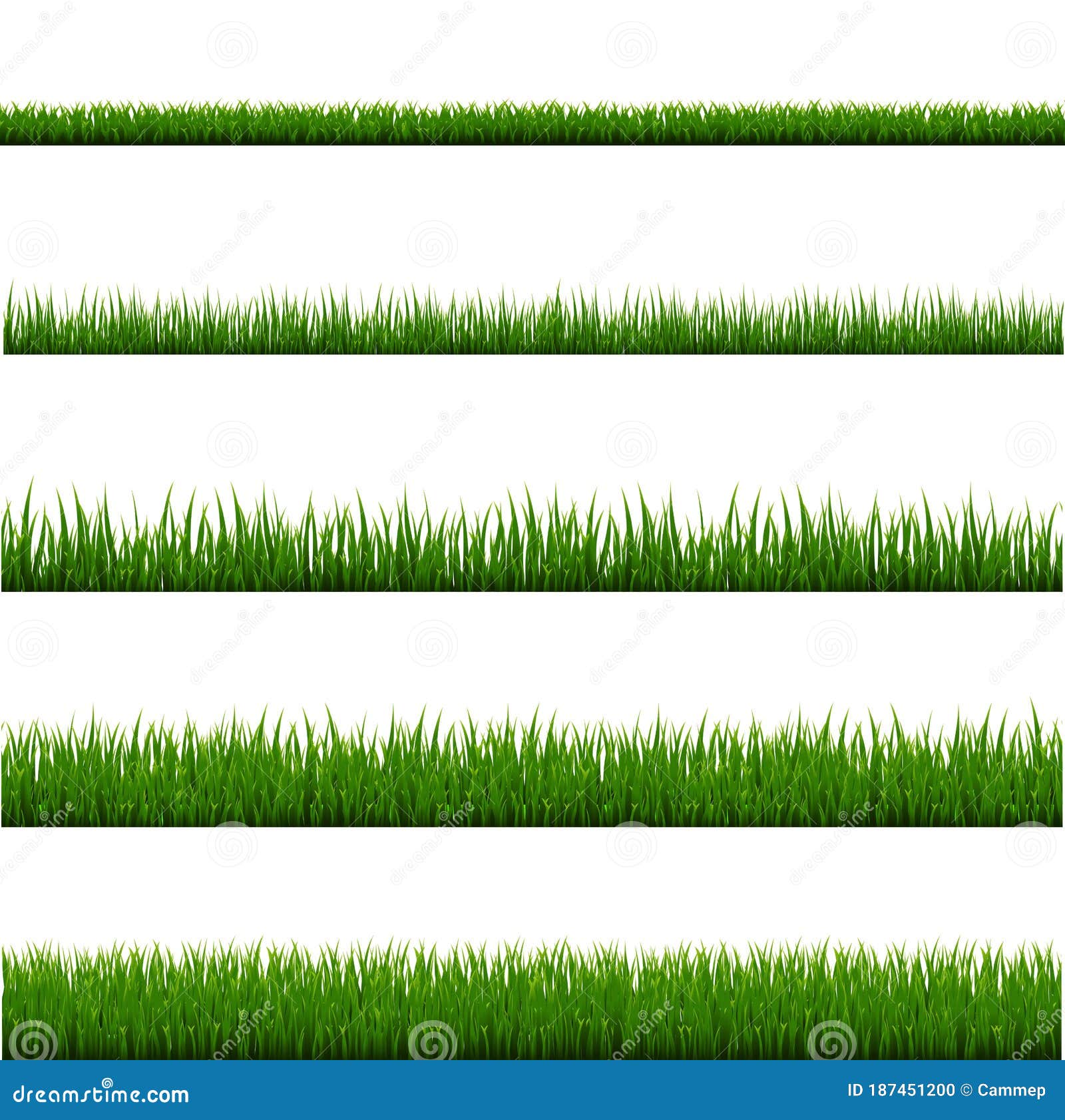 Green Grass Frame Set and Isolated White Background Stock Vector ...