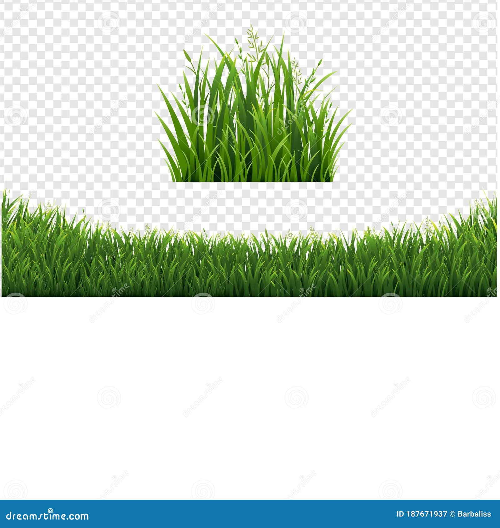 Green Grass Frame Set in Isolated White Background Stock Vector ...