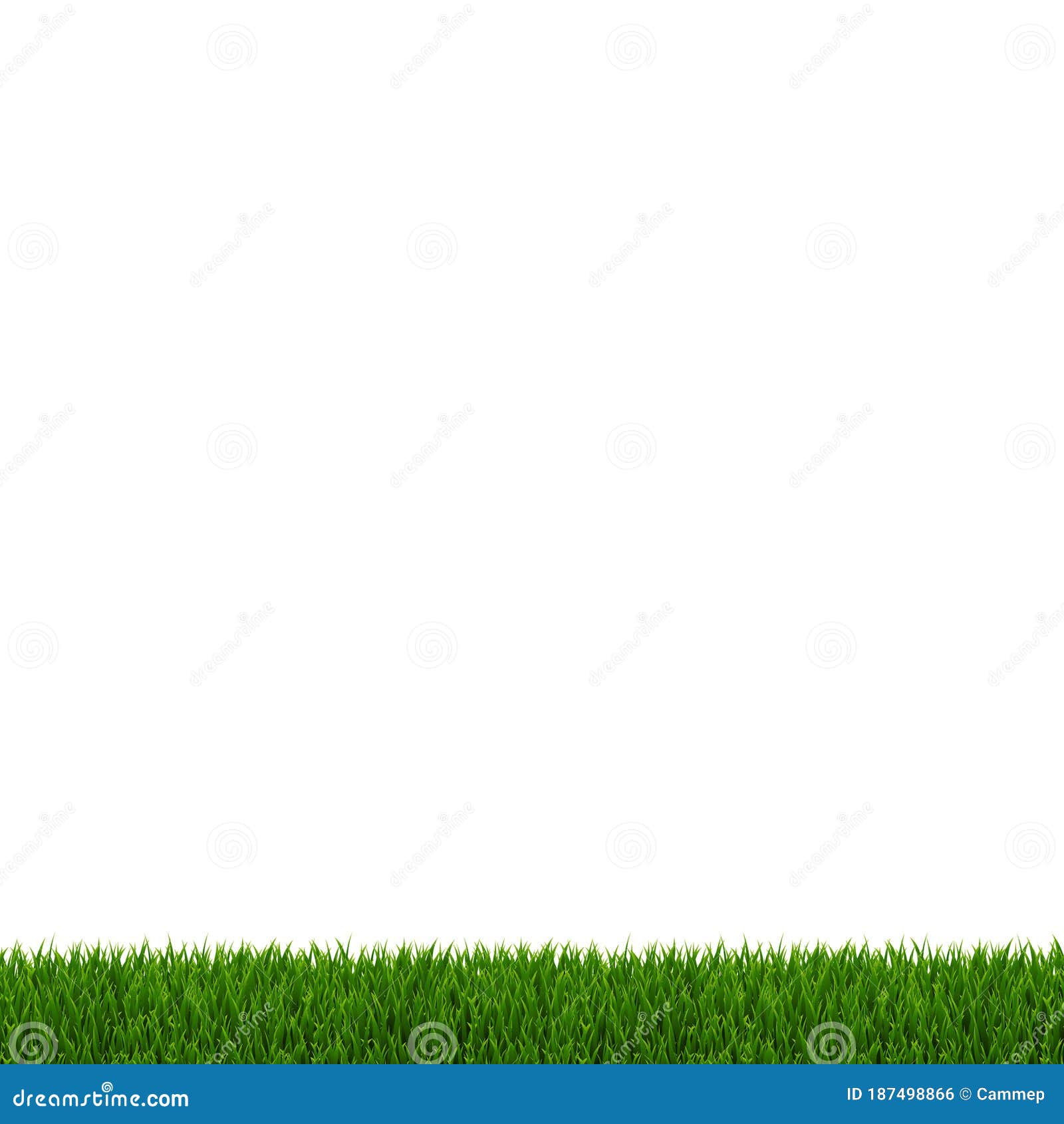 Green Grass Frame White Background Stock Vector - Illustration of ...