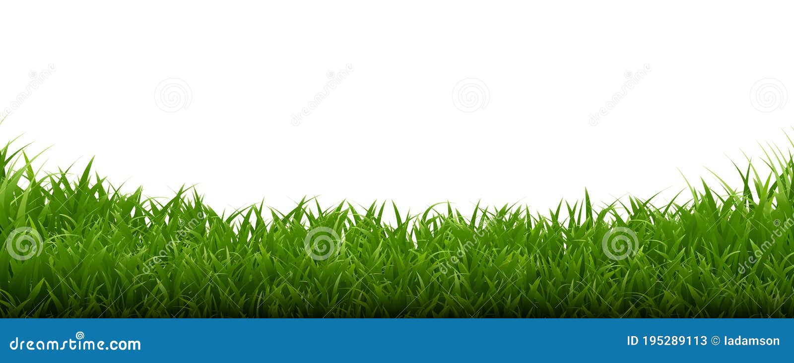 Green Grass Frame White Background Stock Vector - Illustration of field ...