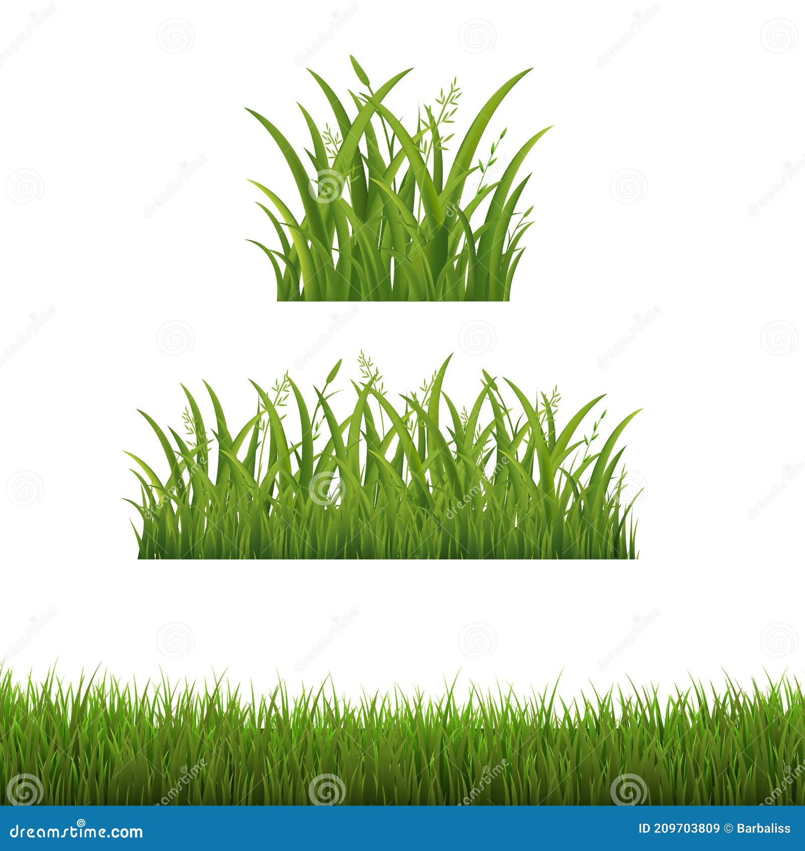 Green Grass Frames Collection Isolated White Background Stock Vector ...