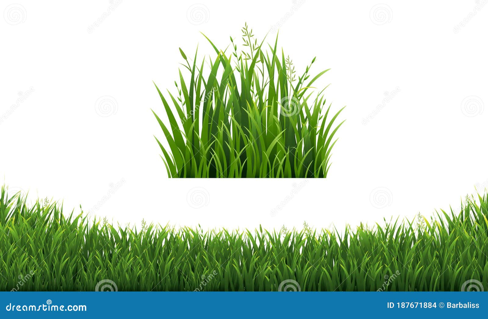 Green Grass Frames Set In Isolated White Background Vector Illustration ...