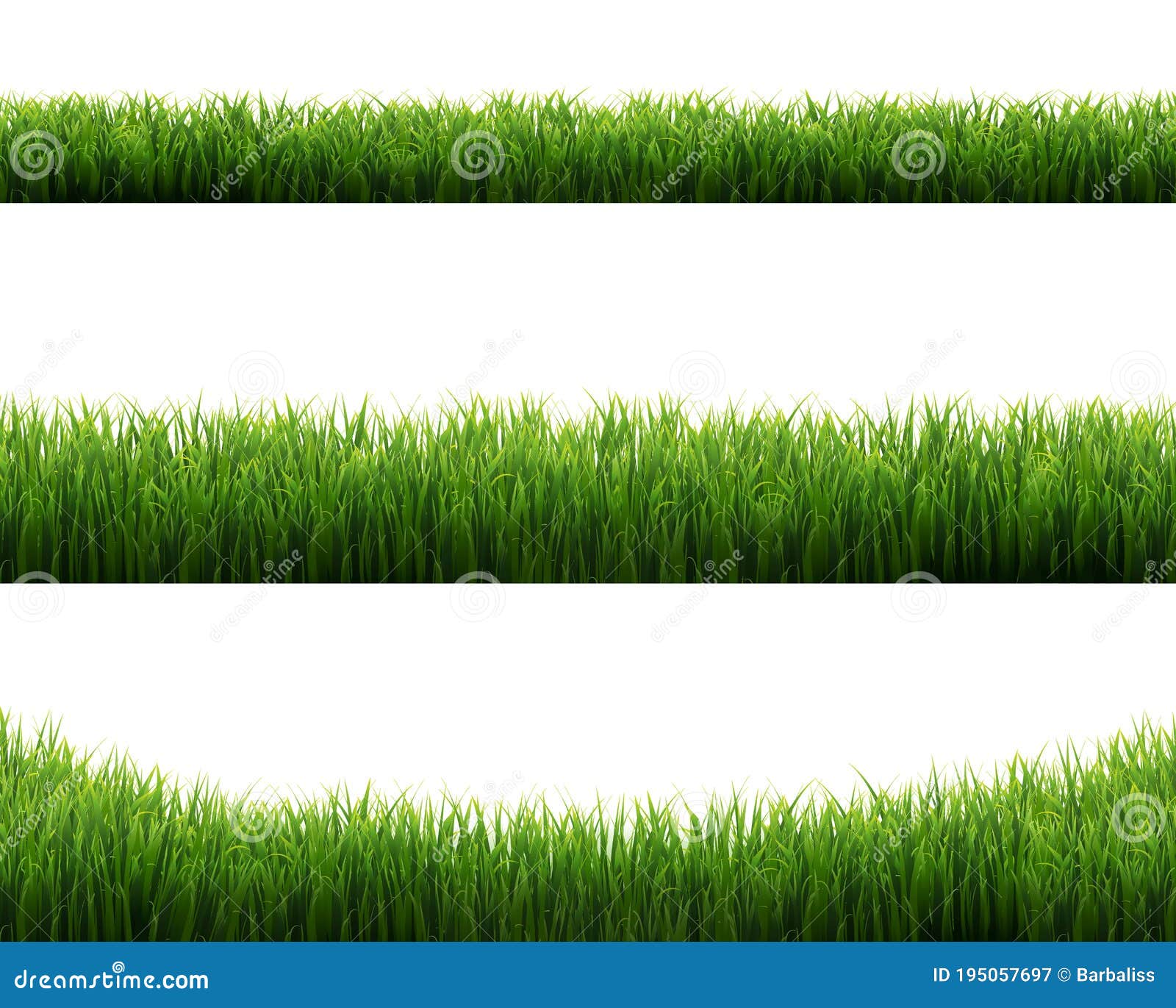 Grass Frames Set In Isolated Transparent Background Cartoon Vector ...