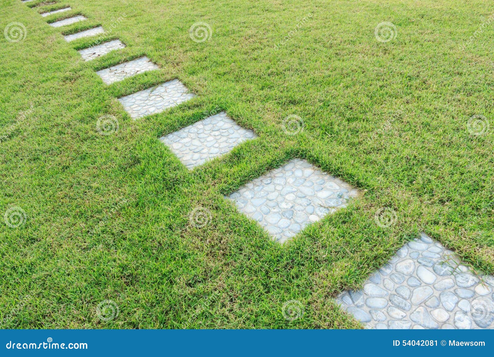 Green Grass in Garden Ground with Path Stock Image - Image of path ...